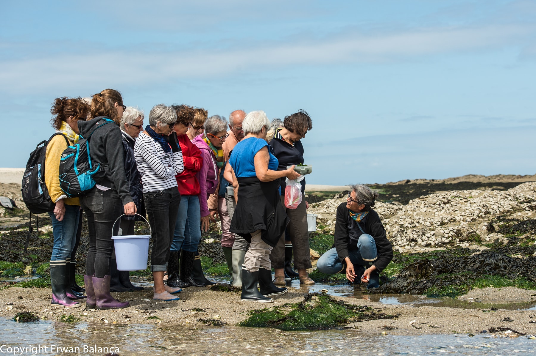 Les Jardins de la Mer - Culture d'Algues et Ferme Marine au Croisic